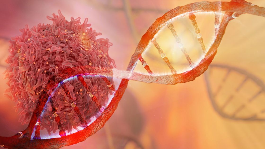 New genetic anomaly and therapeutic target discovered in rare lymphoma ...