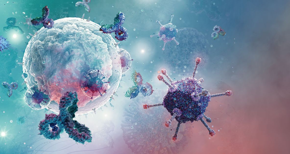 Why immunotherapy does not work for everyone | UZ Leuven
