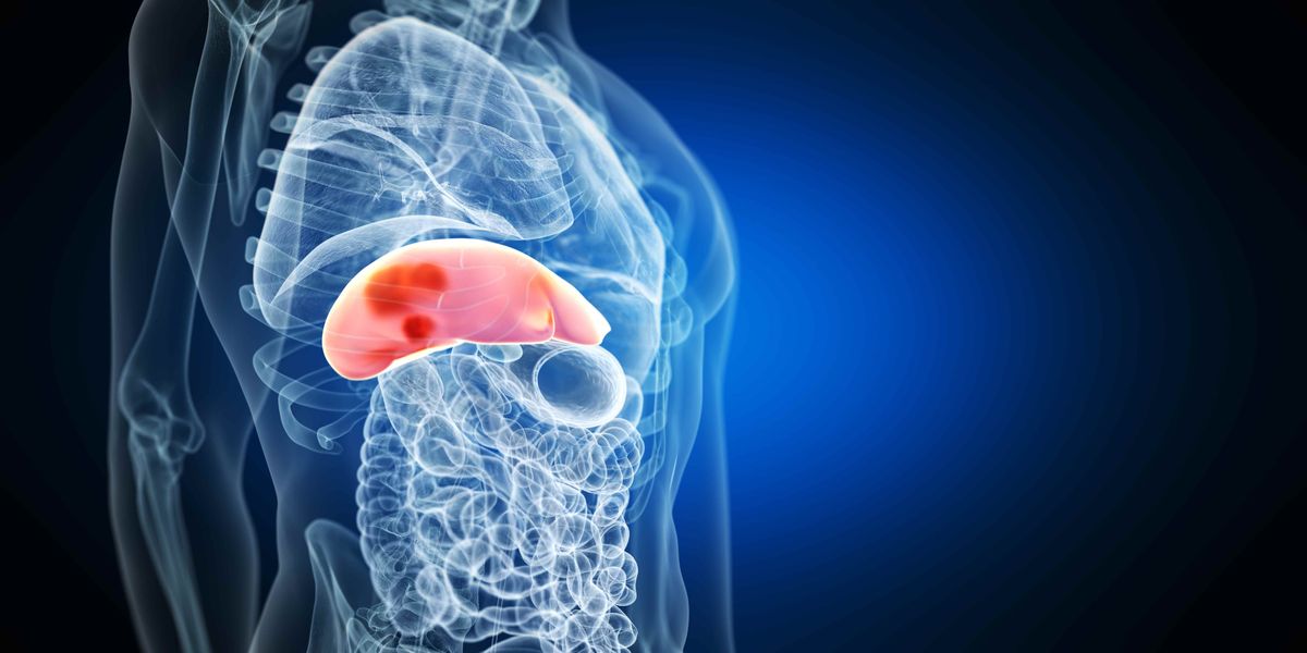 Leuvense onderzoekers vinden biomerker om succes immuuntherapie bij ...